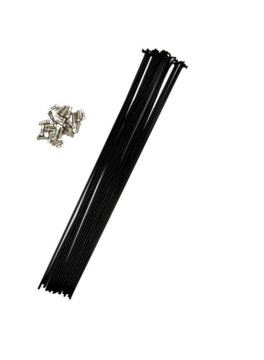 Campagnolo KIT-14VEB Spoke Kit For Vento Rear Wheel - 275mm | Sport ...